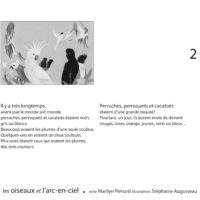 OISEAUX ET L'ARC-EN-CIEL (LES) (KAMISHIBAÏ) - Lirabelle - Livres, CD ...